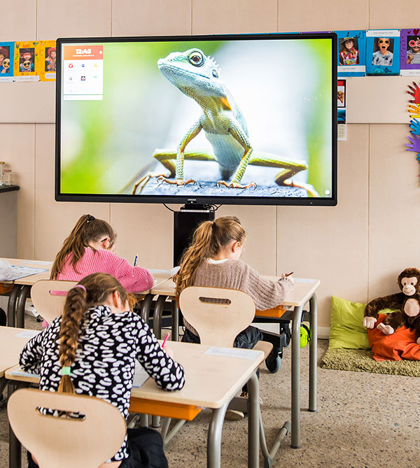 CTOUCH Interactive Displays | Enhance Collaboration & Learning